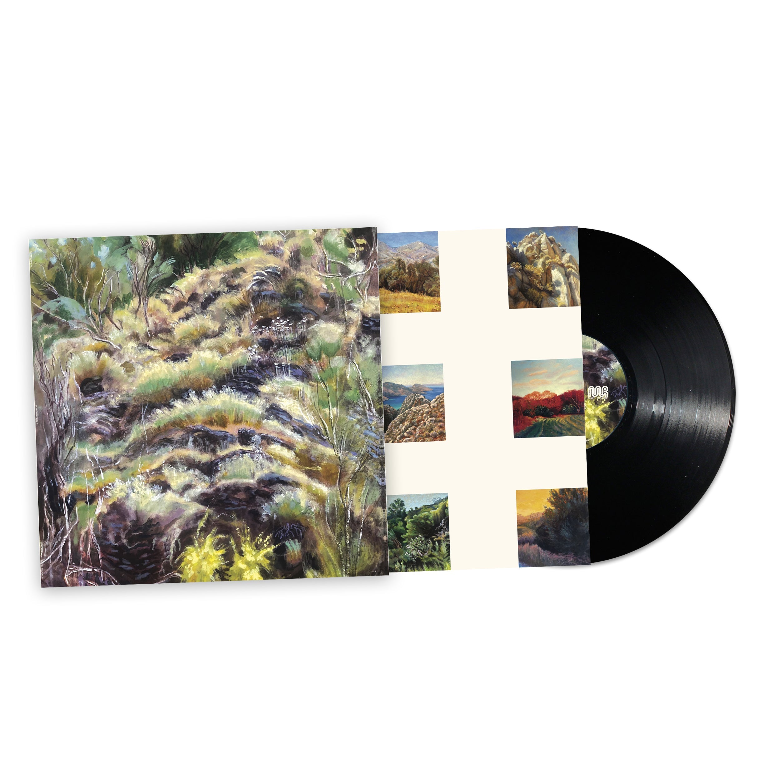 In The Half Light: Bio Vinyl LP & Exclusive Signed A3 Poster - Recordstore